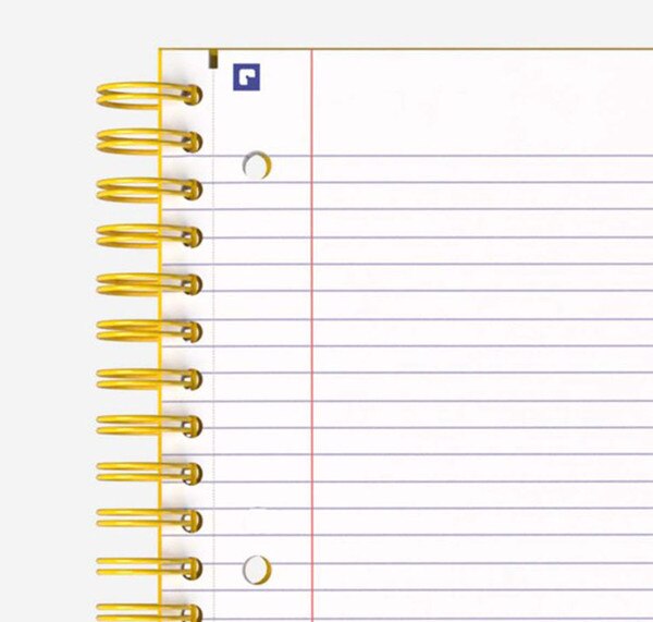 Hamelin, Spiral Notebook, 8.5x11in, College Ruled, Hardcover, 90shts ...