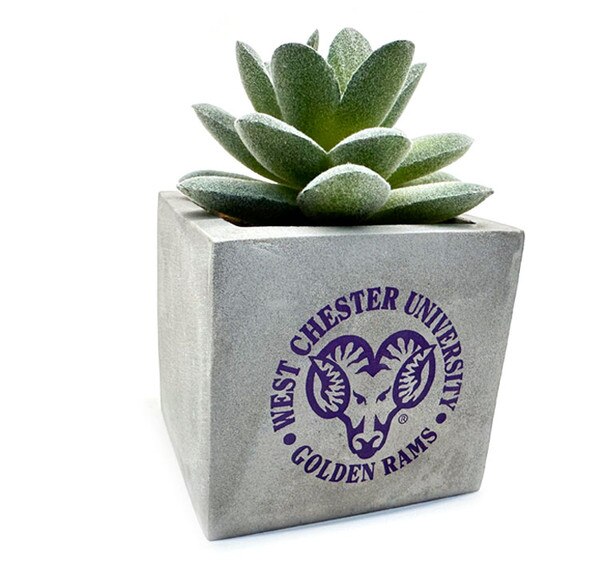 WCU Neil Faux Succulent Plant | WCU Campus Sore